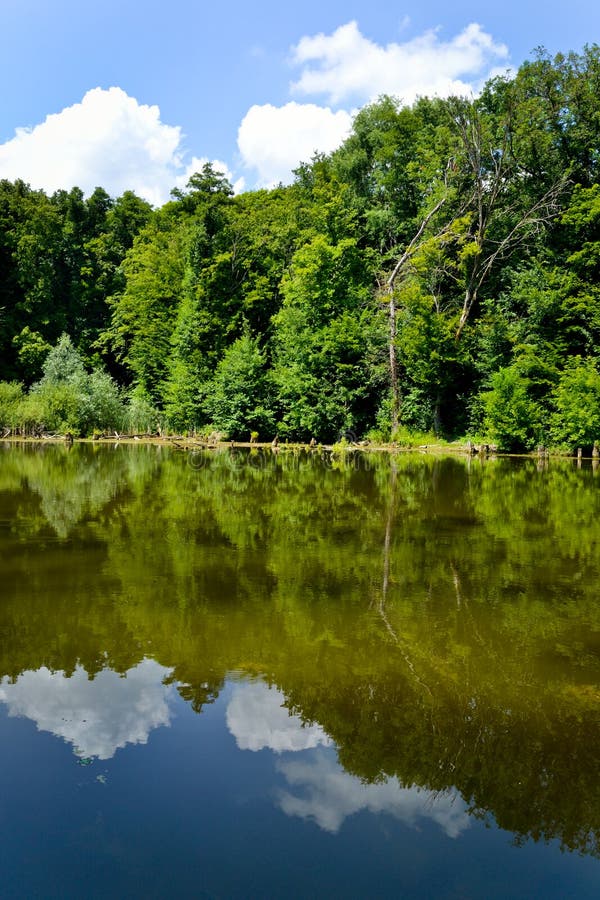Lake and trees stock photo. Image of scene, river, cloud - 32340864