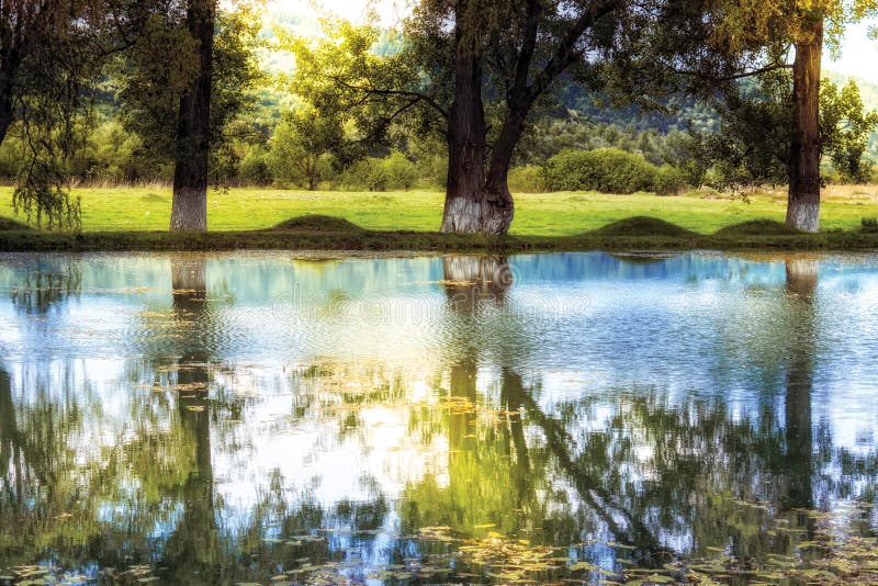 Lake and Trees stock photo. Image of environment, idyllic - 73176362