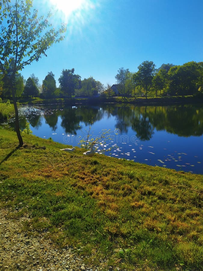 Lake, Trees, Grass, Nature, Sun, Beautiful, Water, Stock Photo - Image ...
