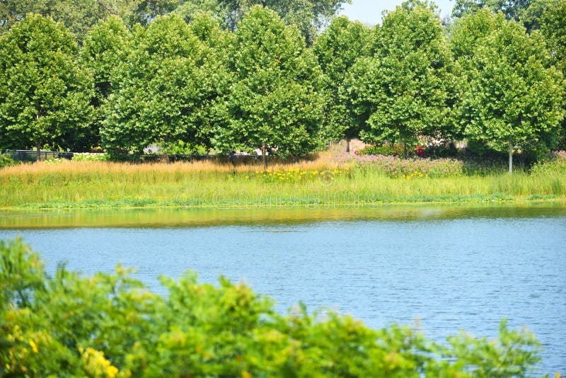 Lake with trees stock image. Image of peaceful, garden - 131005299