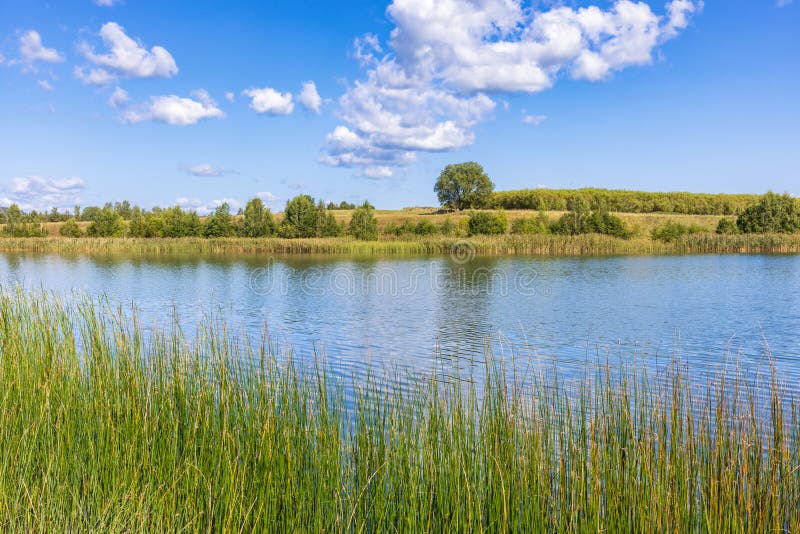 Lake with Trees at the Lakeshore Stock Photo - Image of space, tree ...