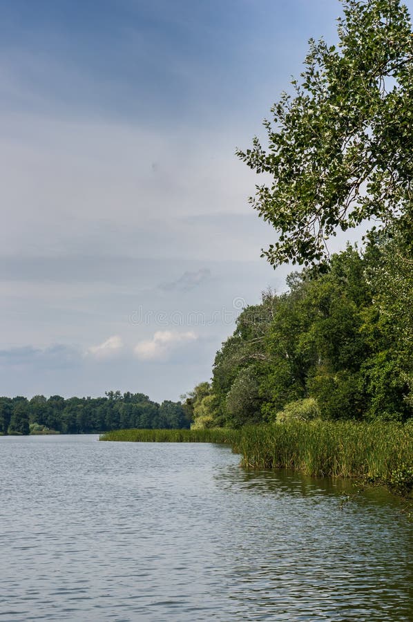 Lake and trees stock image. Image of park, beautiful - 98349233