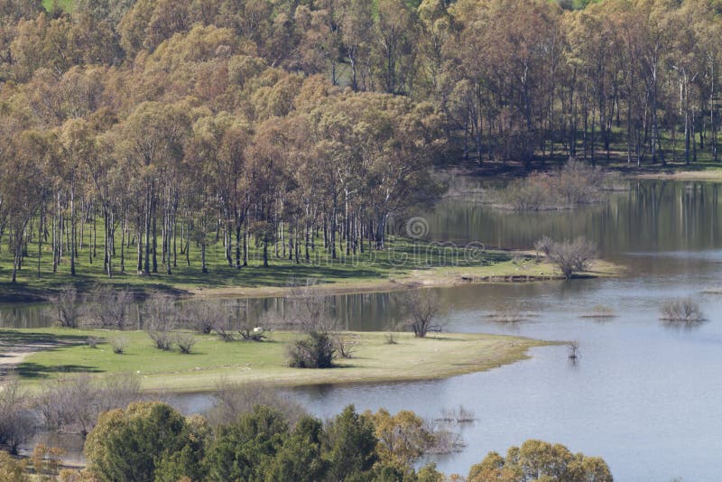 Lake and trees stock image. Image of country, bank, grass - 52749623