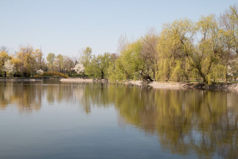 Lake with Trees in the Park in the Spring Stock Image - Image of ...