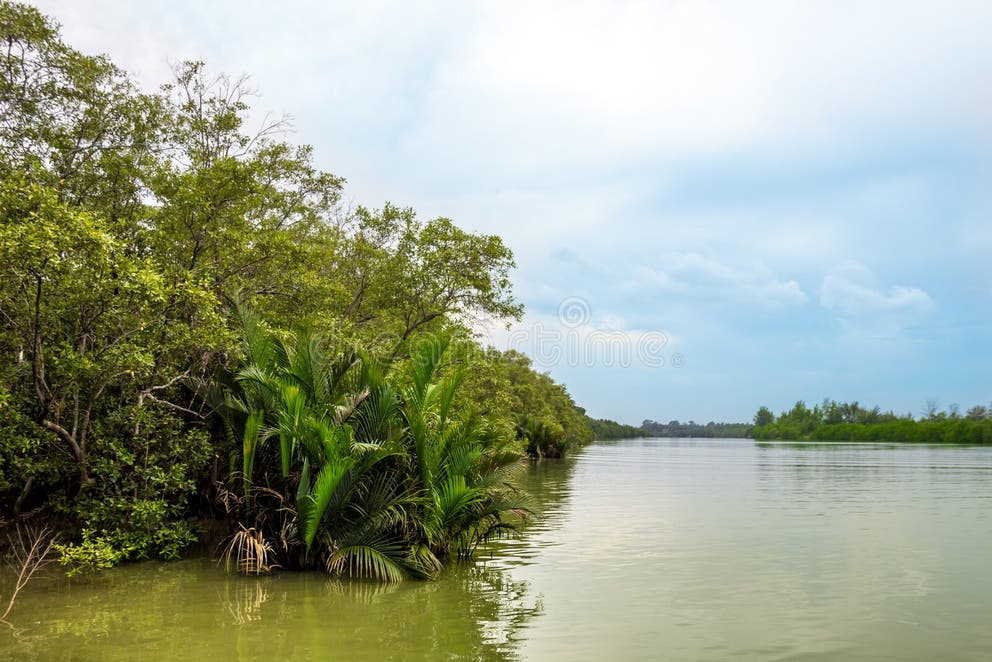 Lake Trees River Water Grass Stock Photo - Image of village, tranquil ...