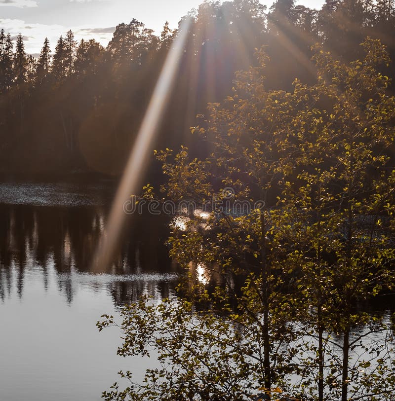 Lake and Trees in the Sun. Natural Landscape. Stock Image - Image of ...
