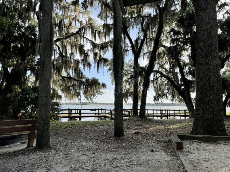 The Lake at Trimble Park in Mount Dora, Florida Stock Image - Image of ...