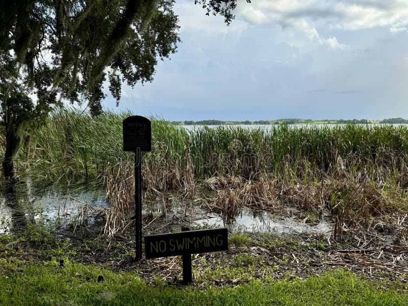 The Lake at Trimble Park an Orange County Park Stock Photo - Image of ...