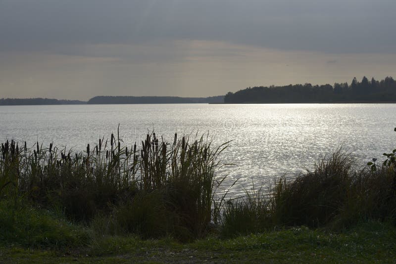 Lake Tuusula in Finland stock photo. Image of cane, evening - 231629256