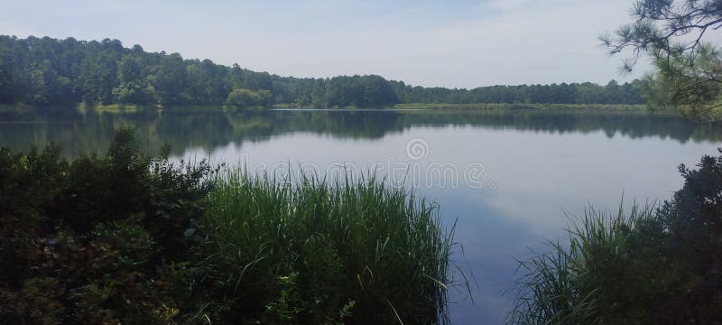 Lake Tyler stock photo. Image of waterway, wetland, tree - 229502660