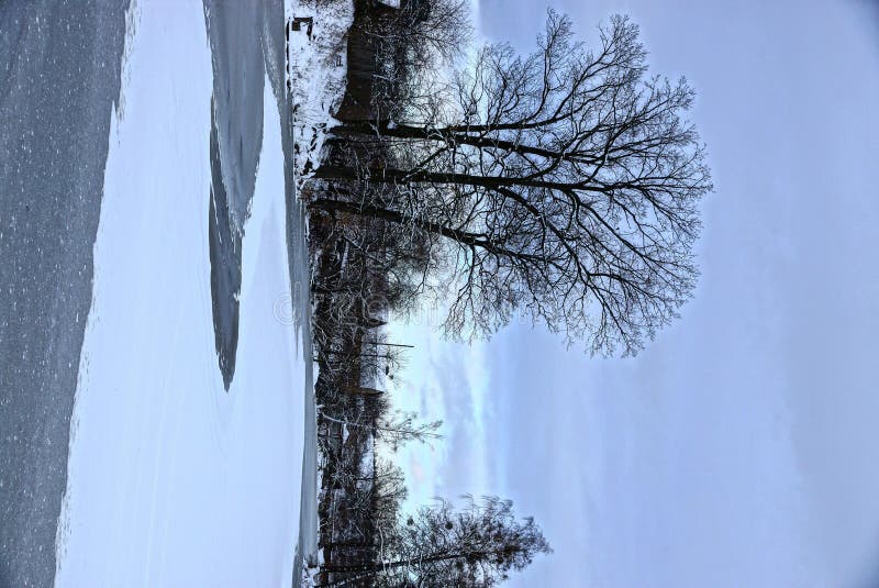 A Lake Under Ice with a Tree on the Shore Stock Photo - Image of cold ...
