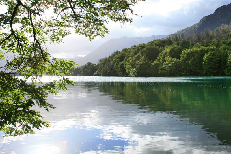 Lake view stock image. Image of tree, color, colorful - 17668883