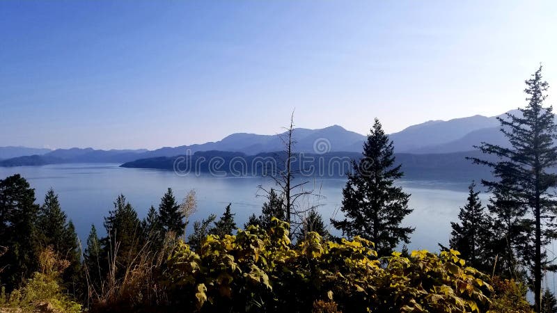 Lake view from above stock image. Image of forest, view - 172519953