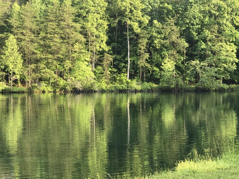Lake view all green stock photo. Image of rays, farm - 97980740