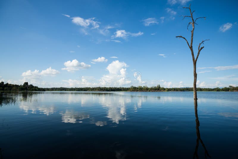 Lake view stock image. Image of view, tree, blue, lake - 60581863