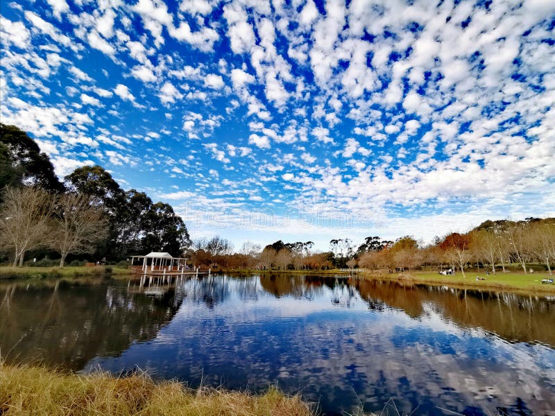 The Lake at Fagan Park stock photo. Image of australia - 90549812