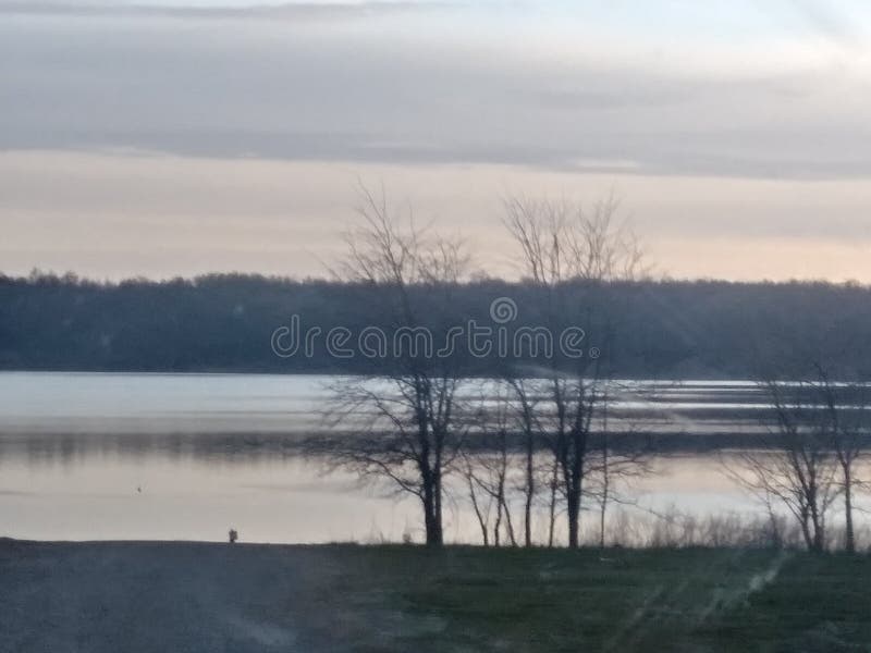Lake view stock photo. Image of lake, swim, beach, fish - 115558478
