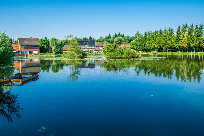 Lake View with Forest, Trees,bush and Clouds on the Sky Stock Photo ...