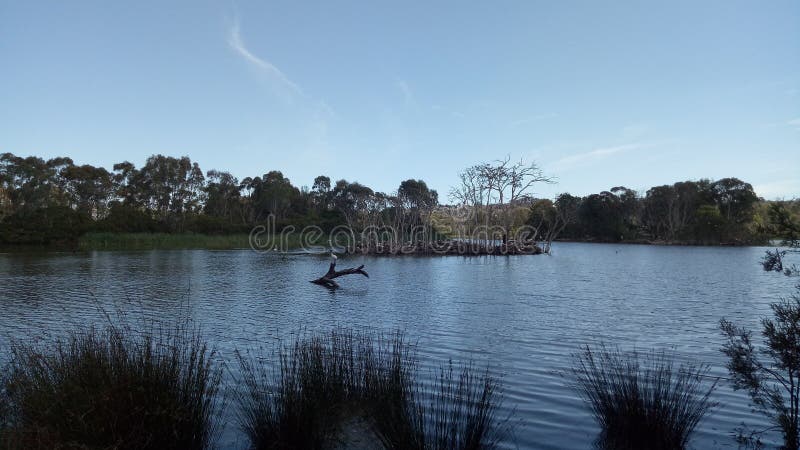 Lake view stock photo. Image of park, lake, view, jells - 164311024