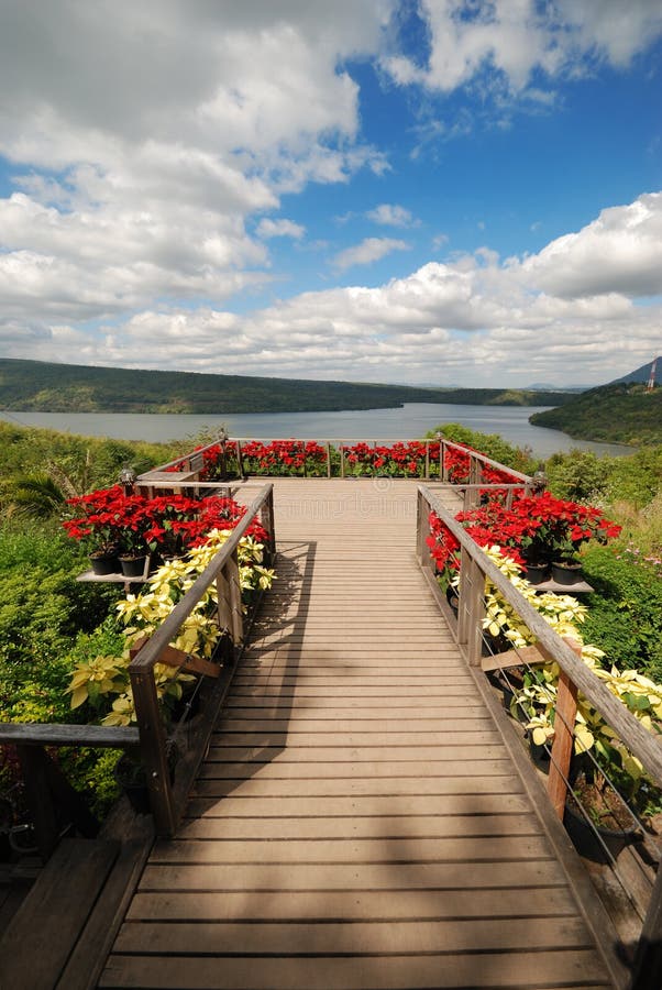 Lake view lookout stock image. Image of christmas, horizon - 25371123