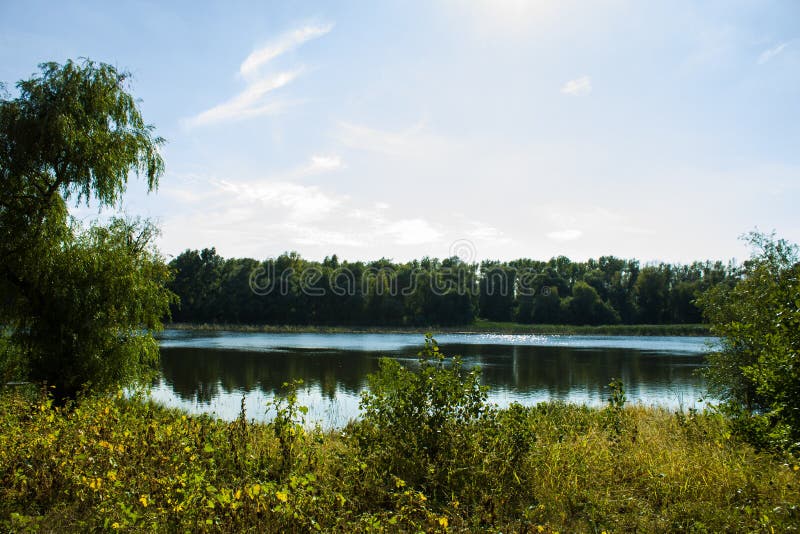 A Lake View in the Park Photos Stock Image - Image of horizon, space ...