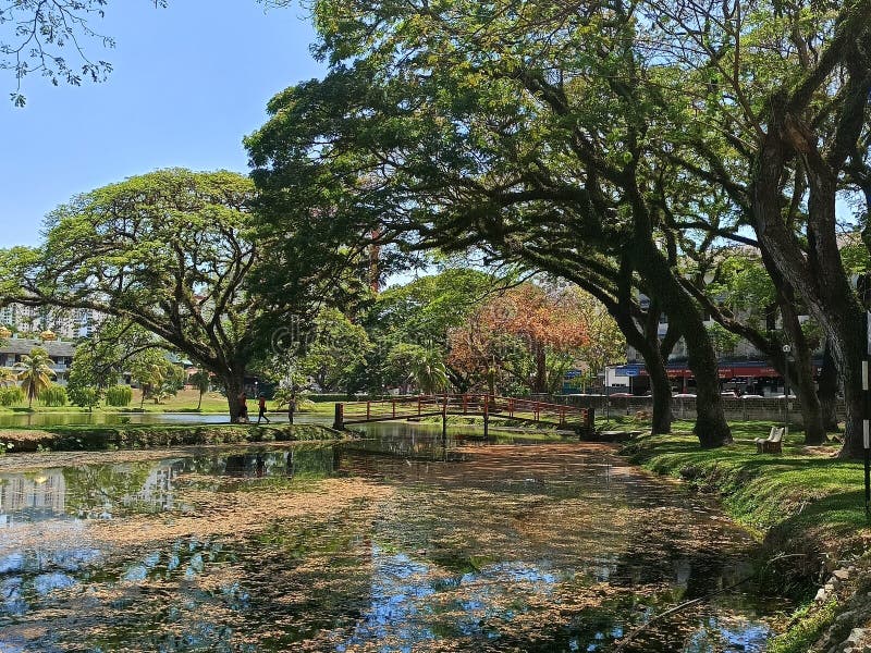 Lake View Pulau Pinang Malaysia Stock Image - Image of lake, view ...