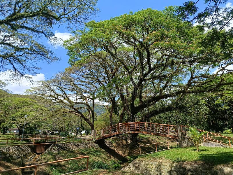 Lake View Pulau Pinang Malaysia Stock Image - Image of pulau, lake ...