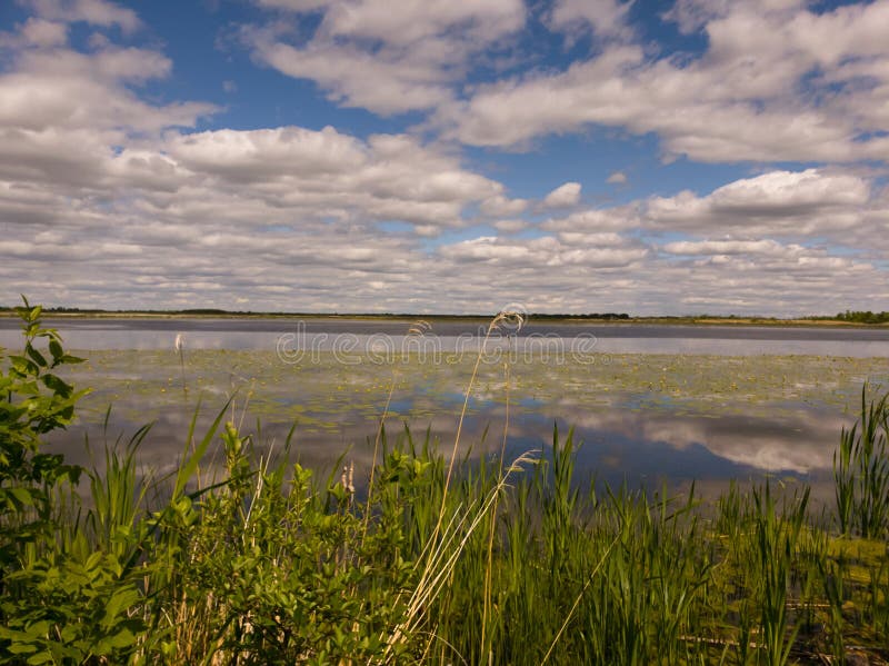 Lake View with Reflection Sky Stock Image - Image of clouds, summer ...