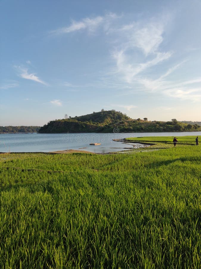 Lake view stock photo. Image of indonesia, setu, landscape - 300822704