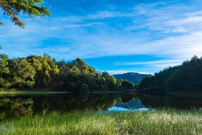 Lake view in summer stock image. Image of landscape - 113344431
