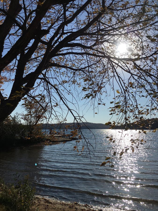 Lake view stock photo. Image of view, water, shine, lake - 60832258