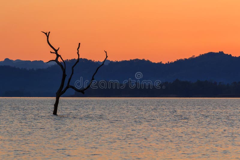 Lake view in Sunset stock photo. Image of park, sunlight - 86439560