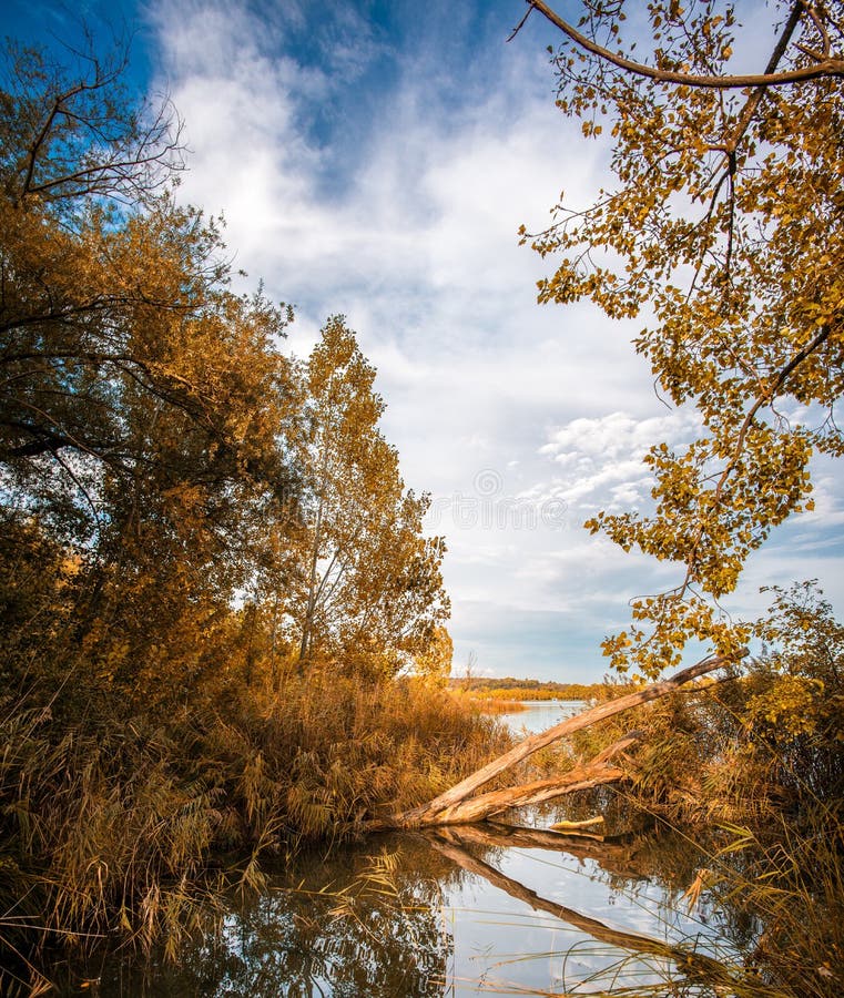 Lake view stock photo. Image of pond, beauty, fall, tranquil - 31263592