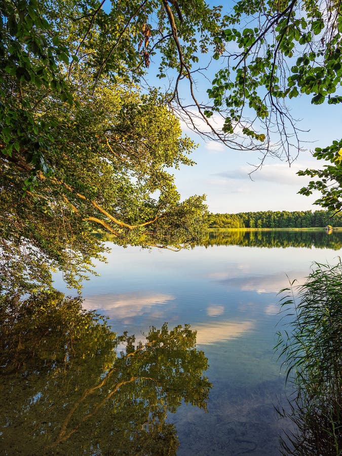 Lake View with Trees at the Lake Schaalsee in Seedorf, Germany Stock ...