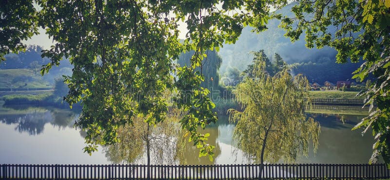 Lake view with trees stock image. Image of black, calm - 157529585