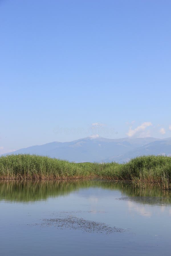 Lake view vertical stock image. Image of grass, cosy - 53615115