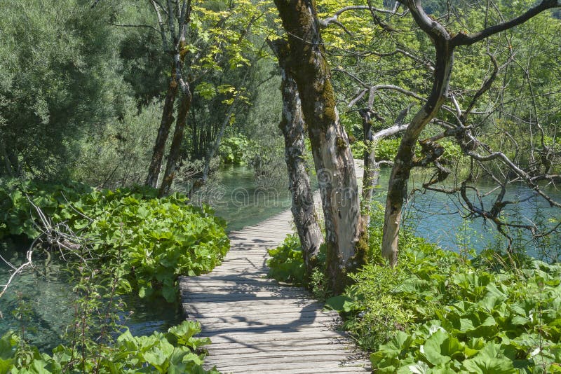 Lake and walk pathway stock photo. Image of park, flowing - 41544446