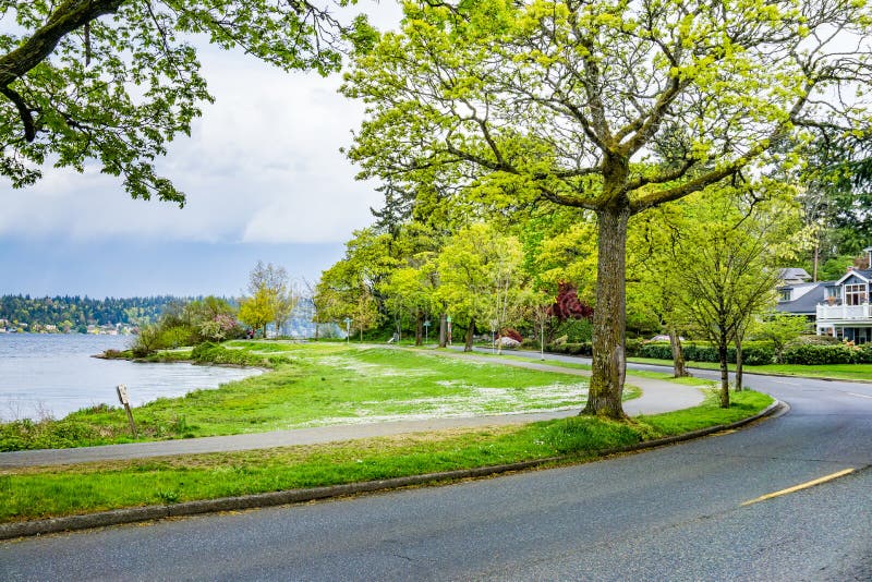 Lake Washington Boulevard Spring Stock Image - Image of boulevard ...