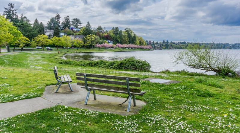 Lake Washington Boulevard Spring 4 Stock Image - Image of outdoors ...