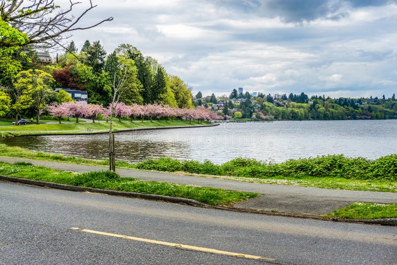 Lake Washington Boulevard Spring 8 Stock Image - Image of grass, travel ...