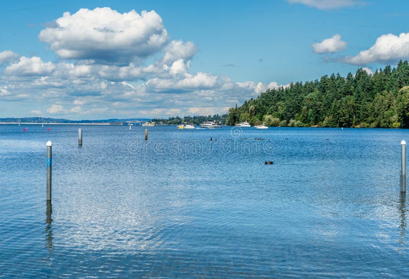 Lake Washington Summer 2 stock image. Image of water - 288312859
