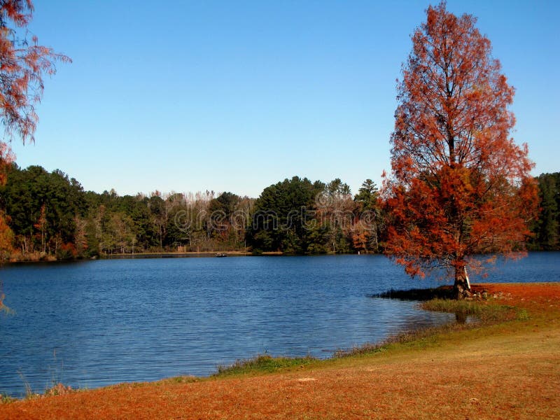 Lake Water Autumn Fall Trees Picture. Image: 101606268