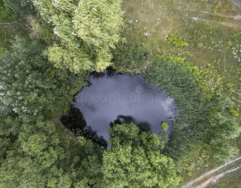 Lake, water basin stock image. Image of natural, park - 178007109