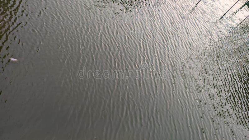 The lake water is choppy stock image. Image of water - 291276115