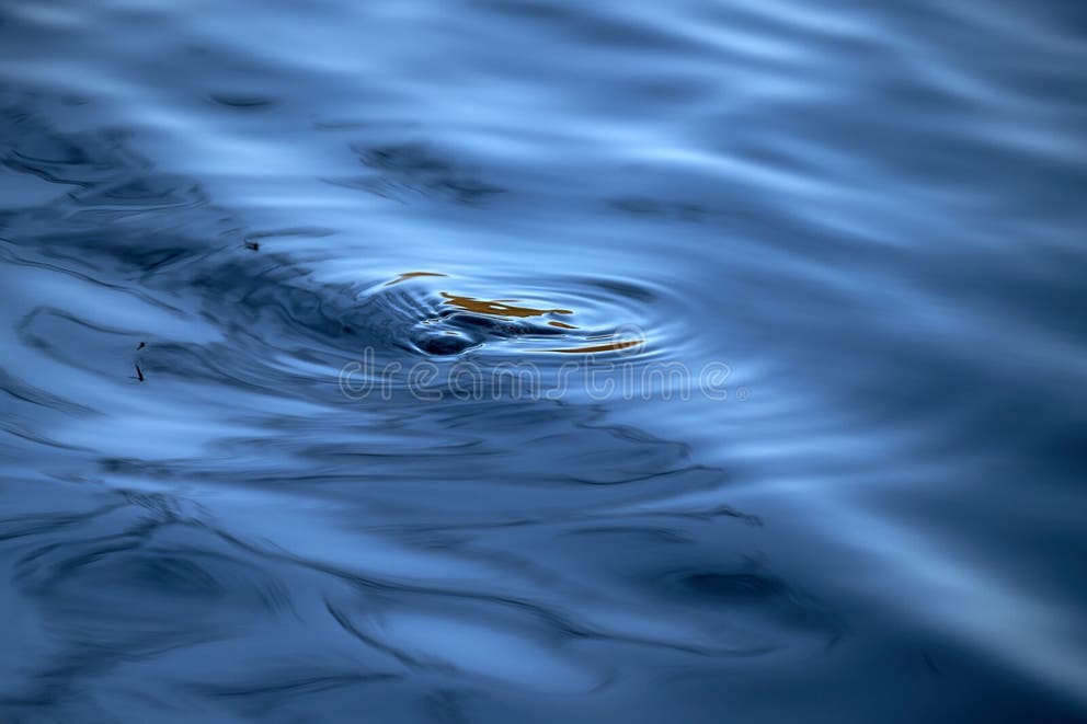 Lake water fluttering stock image. Image of liquid, blue - 145824849