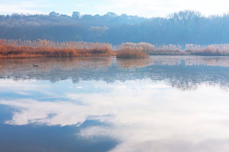 Lake Water Surface with Clouds Reflection Stock Image - Image of reed ...
