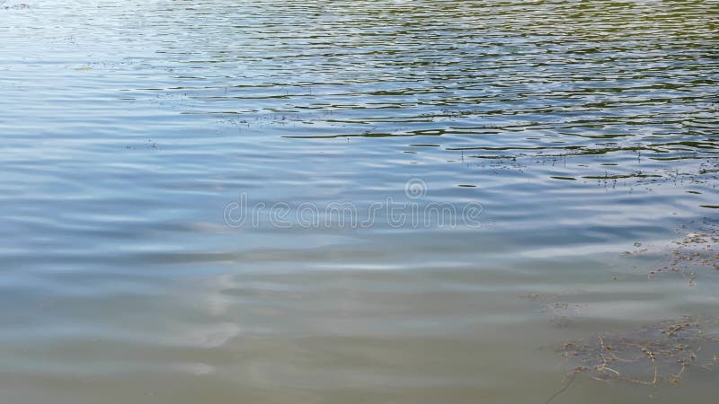 Lake Water Surface with Ripples Stock Footage - Video of wave, ripples ...