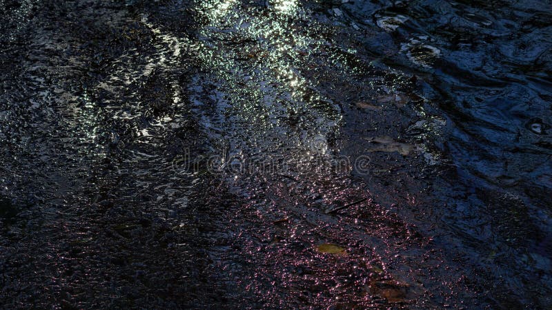 Lake water texture stock image. Image of rock, leaf - 244175501