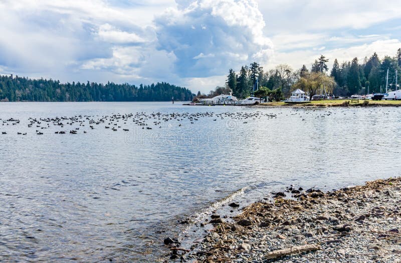 Lake Waterfront Boat 2 stock photo. Image of shoreline - 273345316