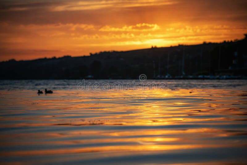 Longing Shot of a Lake in the Sunset Stock Photo - Image of space ...